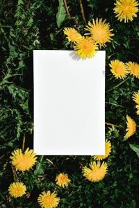 Download MBSIMP Scoring Sheet PDF | Free Template & Guide